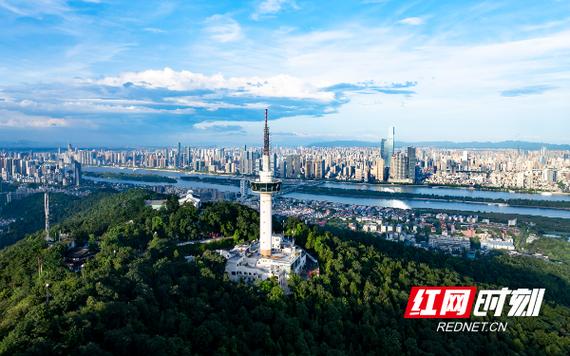 长沙红网新闻网图标