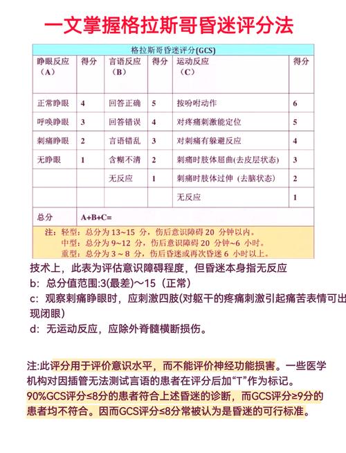 GCS评分8分的状态