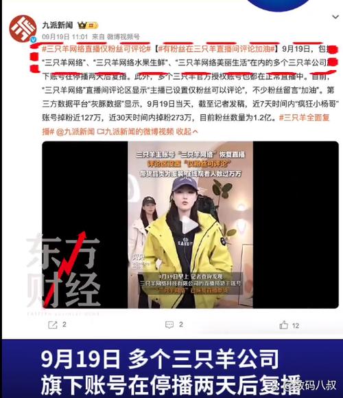 9万粉丝一个月挣多少钱正常图标