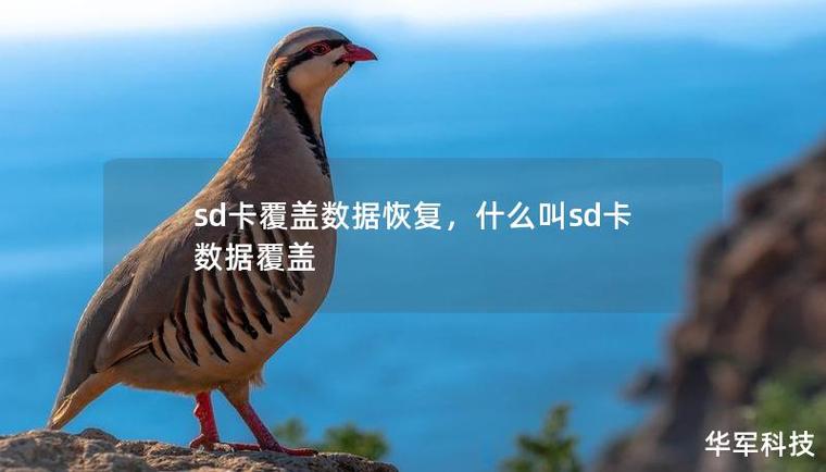 什么叫数据覆盖图标