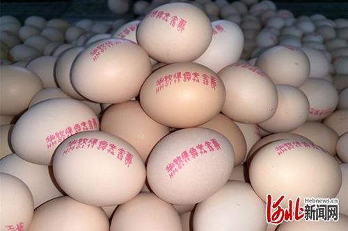 华牧牧业有限公司图标