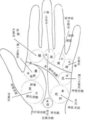 手掌心是什么意思图标