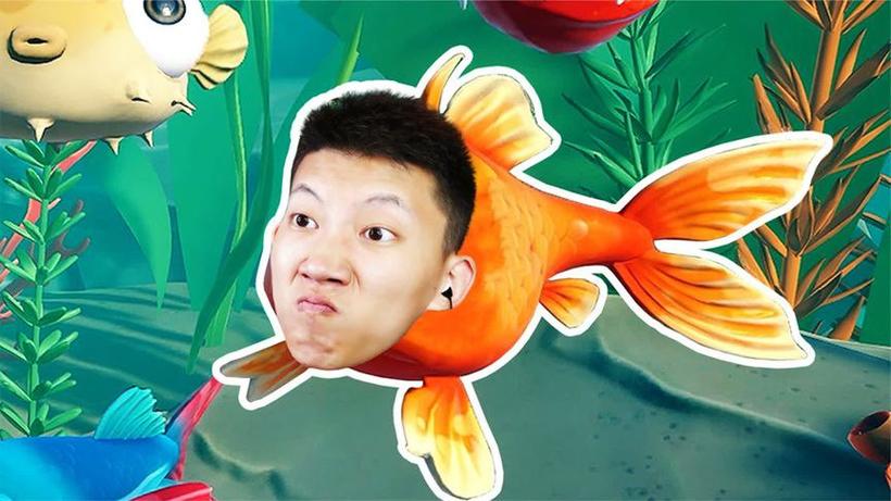 鲤鱼玩小鱼游戏图标