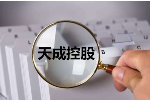 600112天成控股图标