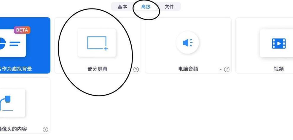 手机Zoom不能共享屏幕