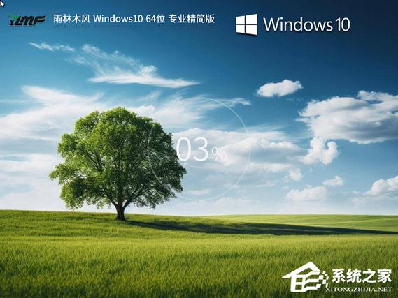 win10专业版精简版下载图标