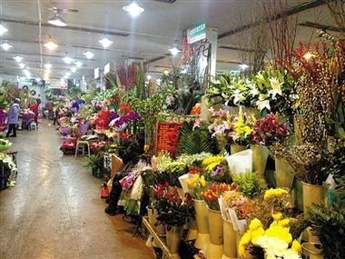 花卉商城图标