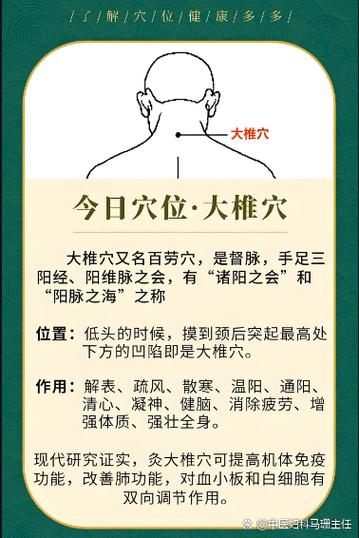 艾灸穴位图图标