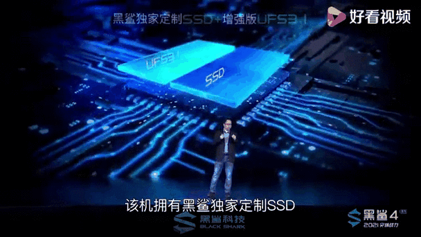 黑鲨视频官网截图