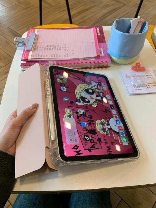 ipad被偷已离线截图
