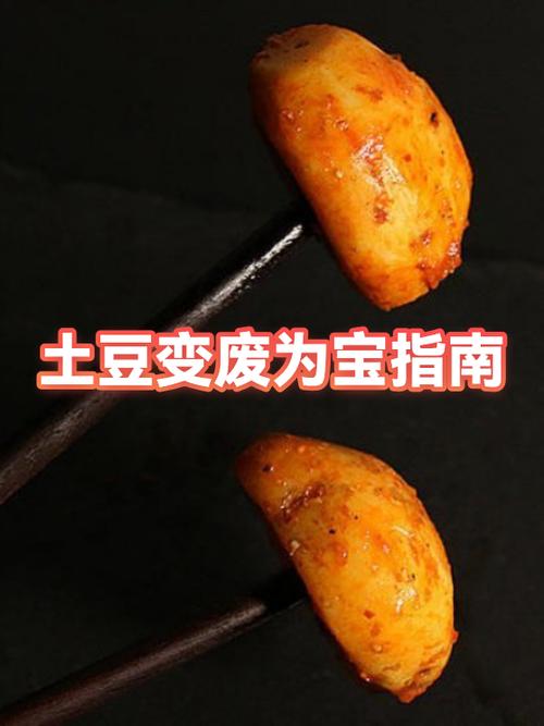 土豆app下载安装到手机版图标