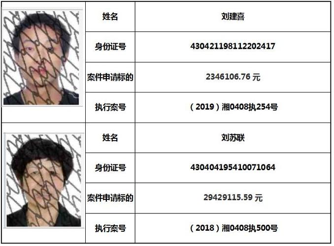 限制高消费人名单查询图标