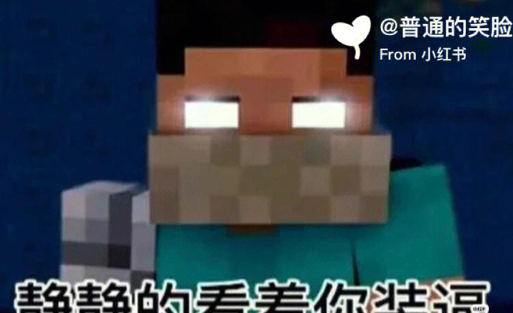 实体303和him缩略图