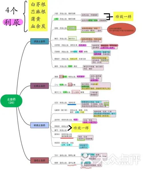 中药二记忆口诀图标