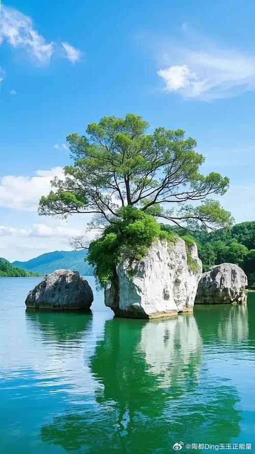 让对方看到心疼的图片图标