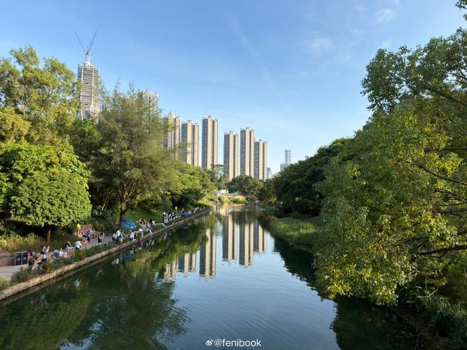 相机拍出来的照片是反方向图标