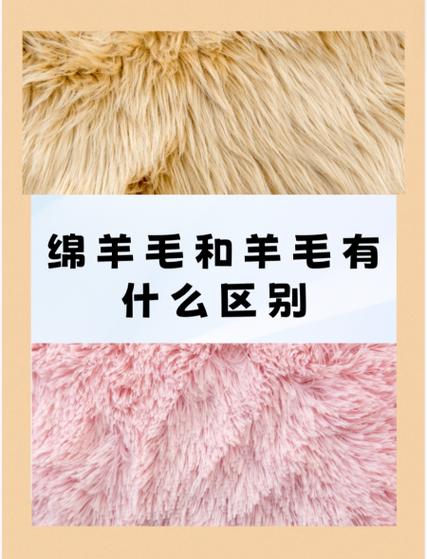 绵羊毛和羊毛有什么区别哪个好图标