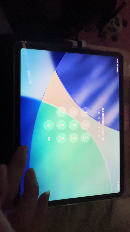 ipad有面部解锁吗图标