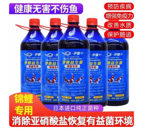 锦鲤益生菌