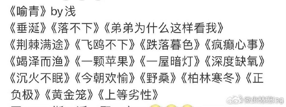 阿v拍摄指南by小说制造机txt截图