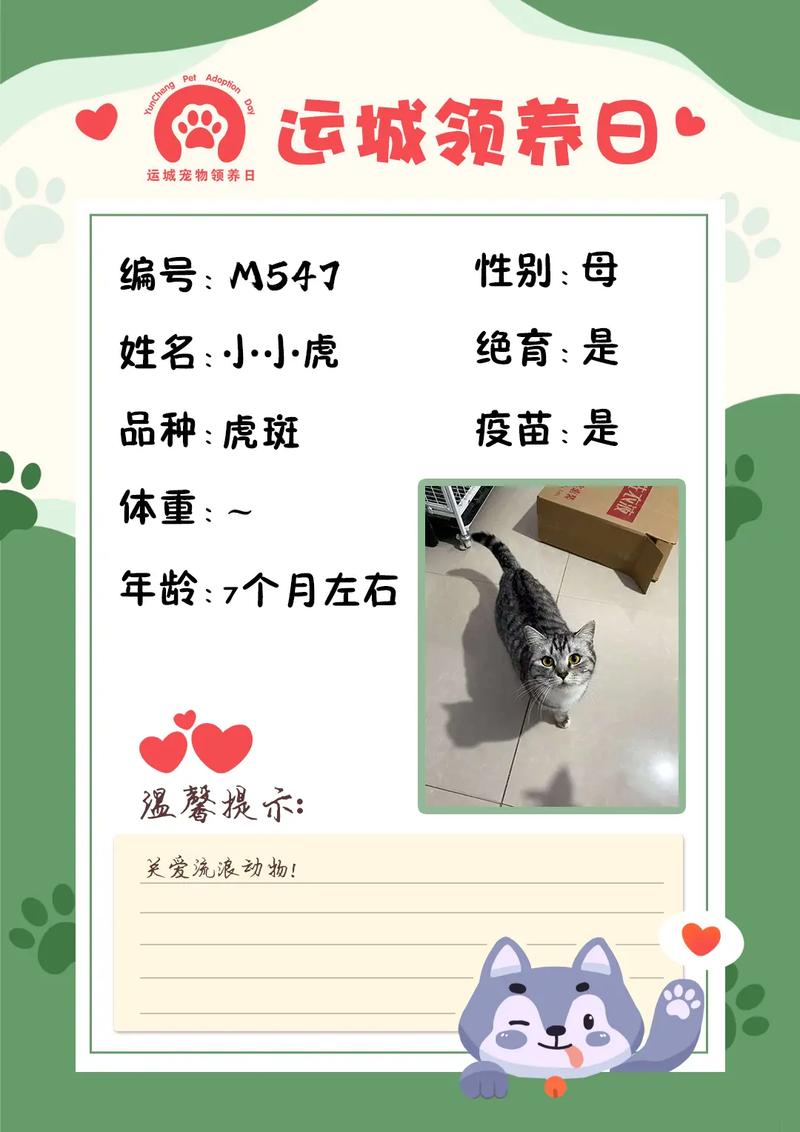 动物领养元截图