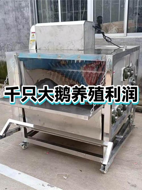 大鹅养殖成本与利润图标