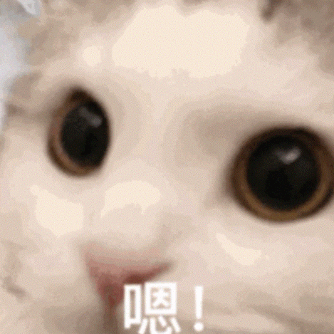 两只猫咪点头表情包gif截图