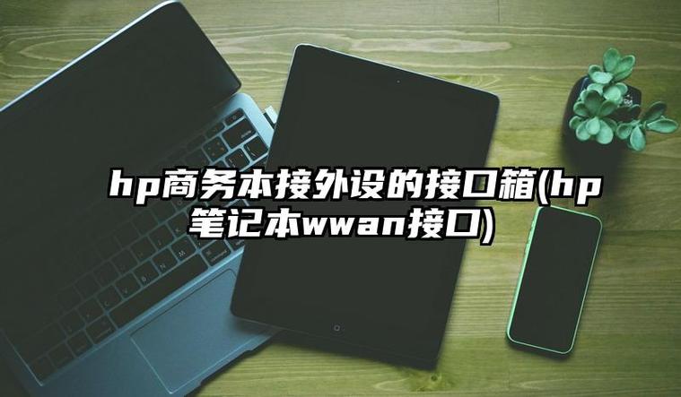 wwan是什么接口图标