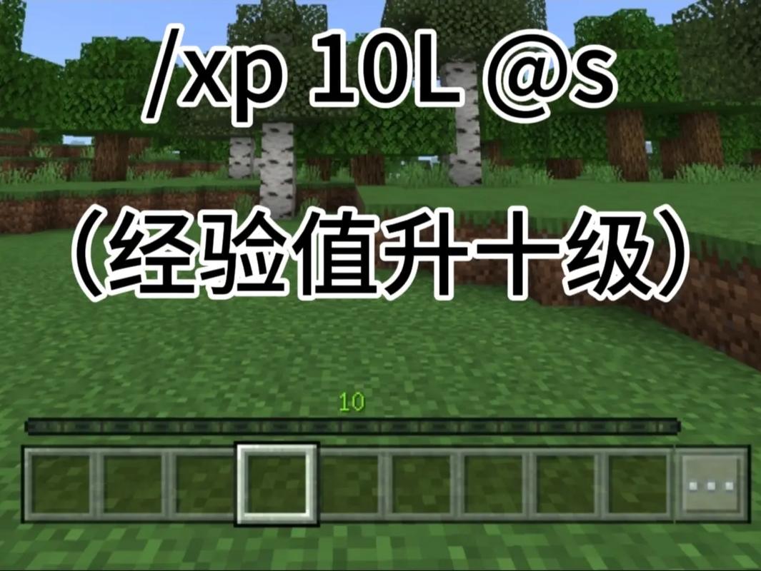 我的世界指令修改经验值图标