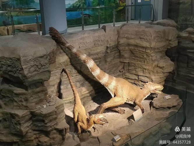 辽宁古生物博物馆2021年开馆时间图标