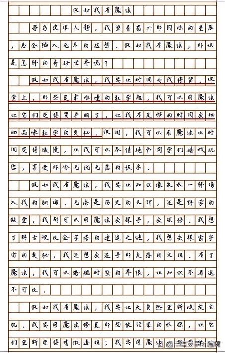 一位有魔法的国王作文