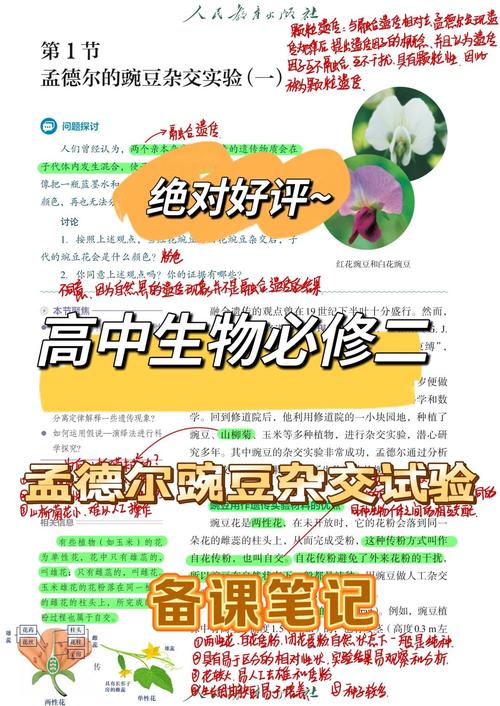 奶奶有狐臭会遗传给孙女吗图标