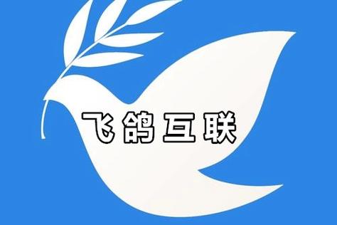 怎样才能注册成功飞鸽互联