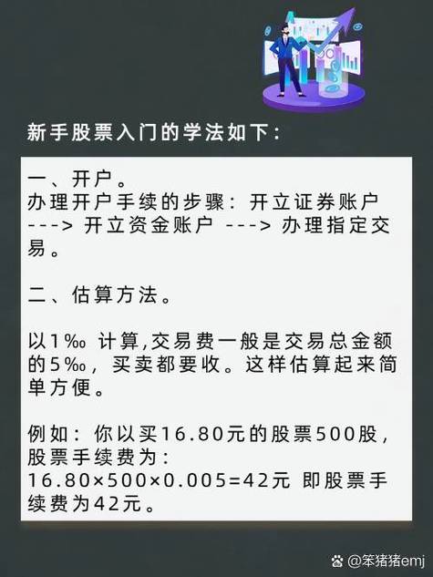 如何买股票新手入门网上开户