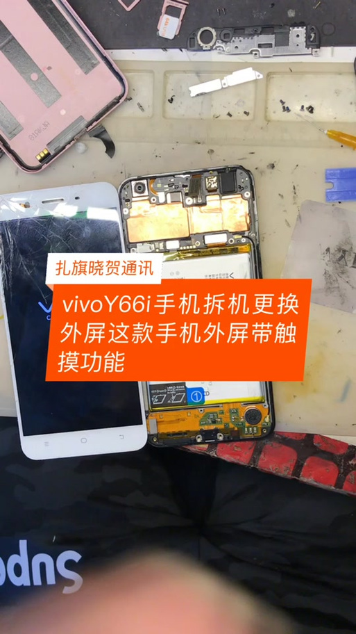 换一个外屏需要多少钱vivo