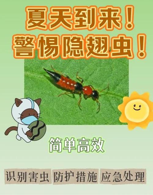 被隐翅虫爬过的皮肤会有什么症状图标