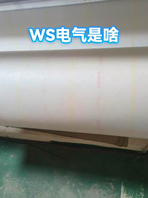WS是什么的简称图标