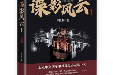 谍影风云小说图标