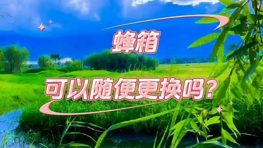 蜜蜂什么时候换箱最好图标
