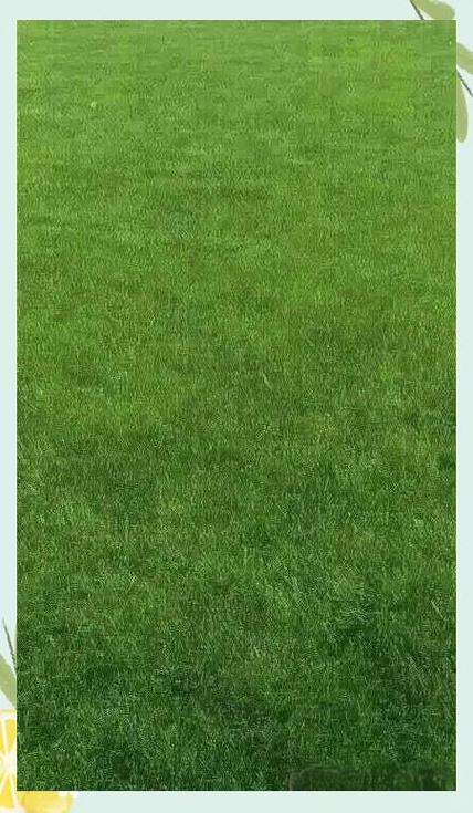 微信绿色截图