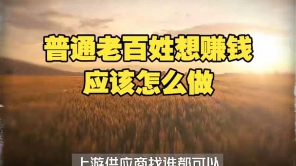 老百姓如何挣钱图标