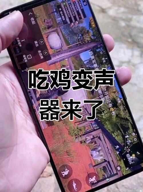 和平精英换语音包怎么换图标