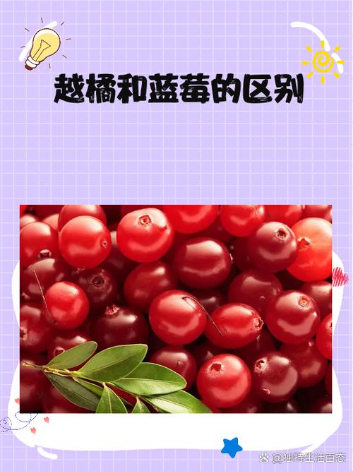 蓝莓对肺有好处吗图标