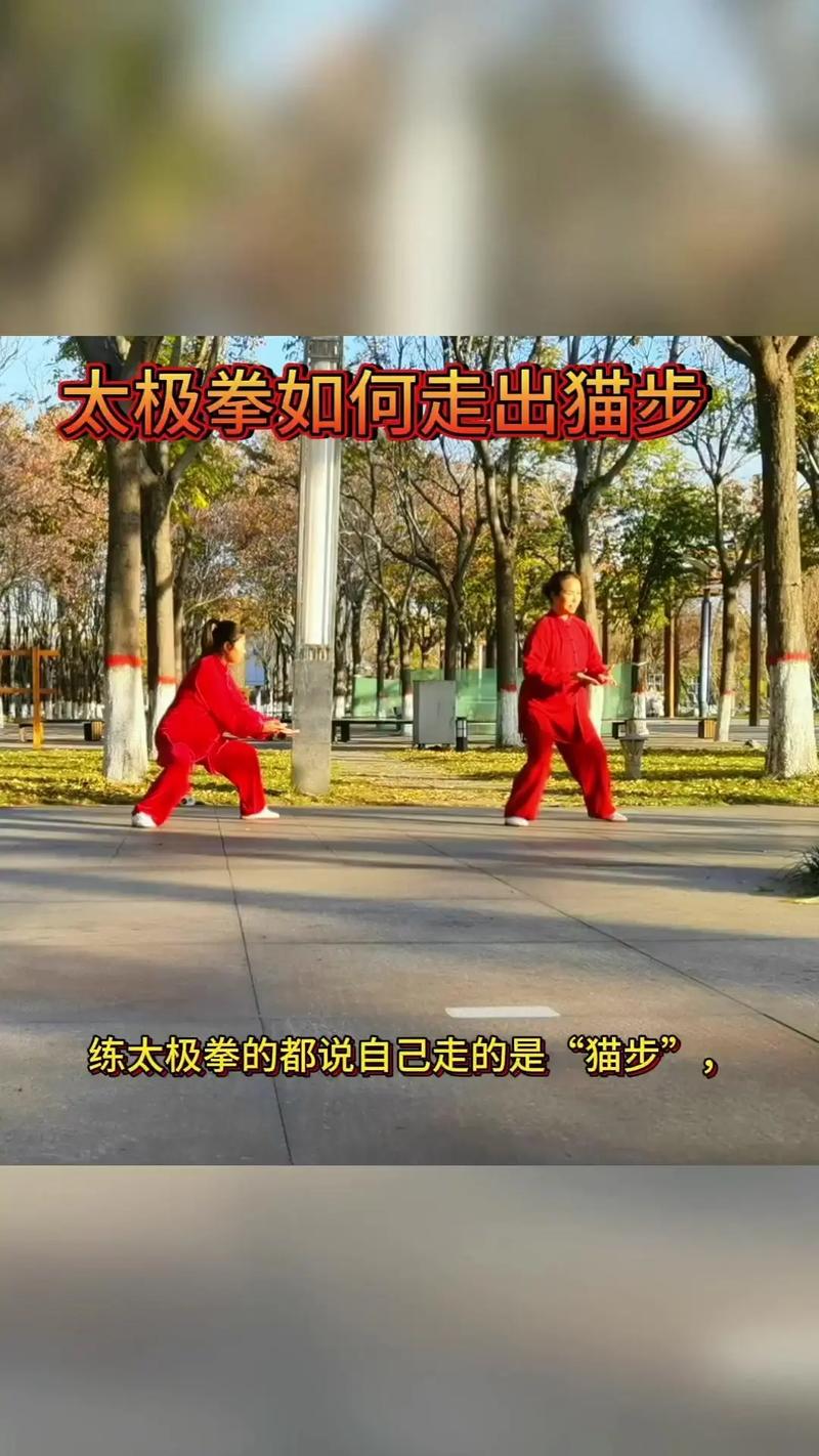 猫步运动赚钱图标