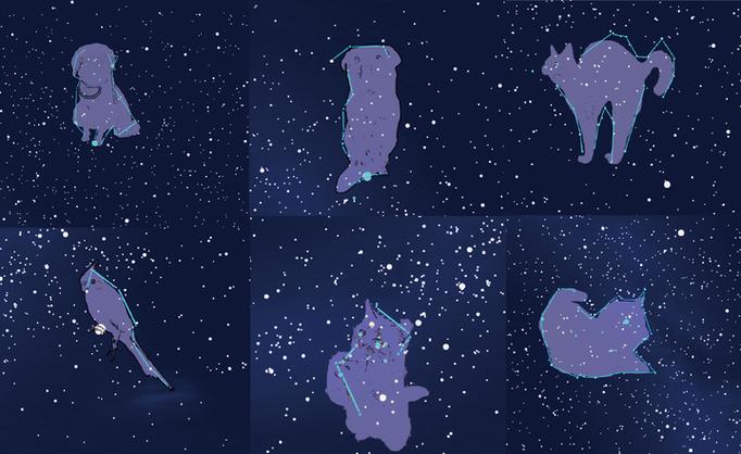星空连连看赚钱版下载图标