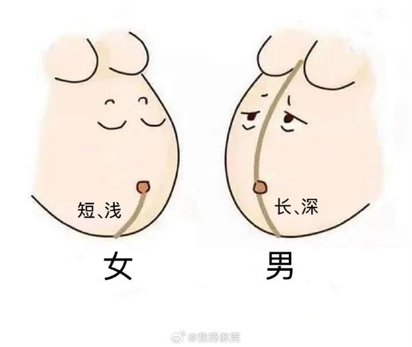 怎么判断对方的性别图标