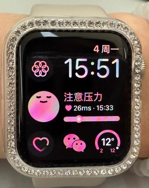 applewatch抬手不亮图标
