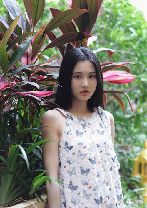 张慧雯面相分析图标