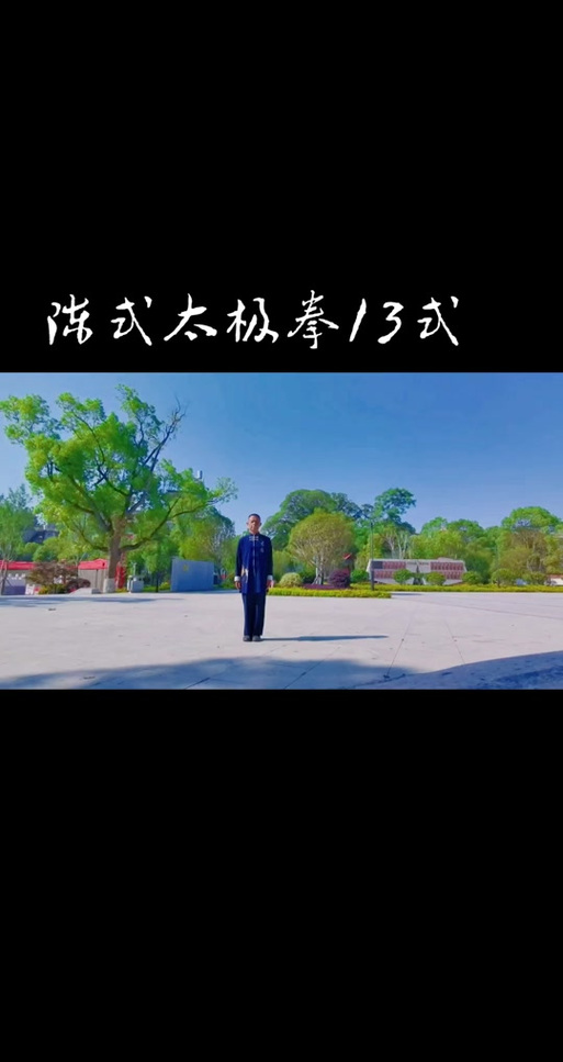陈式太极拳的实战运用图标