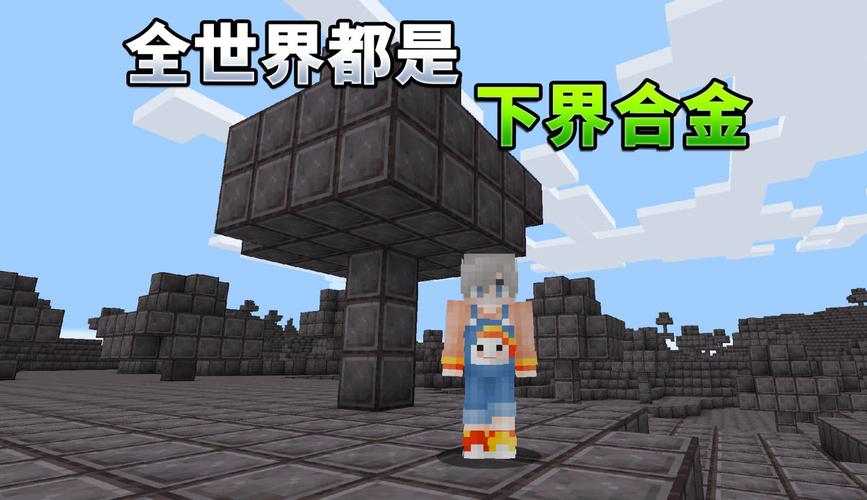 我的世界小包和小立